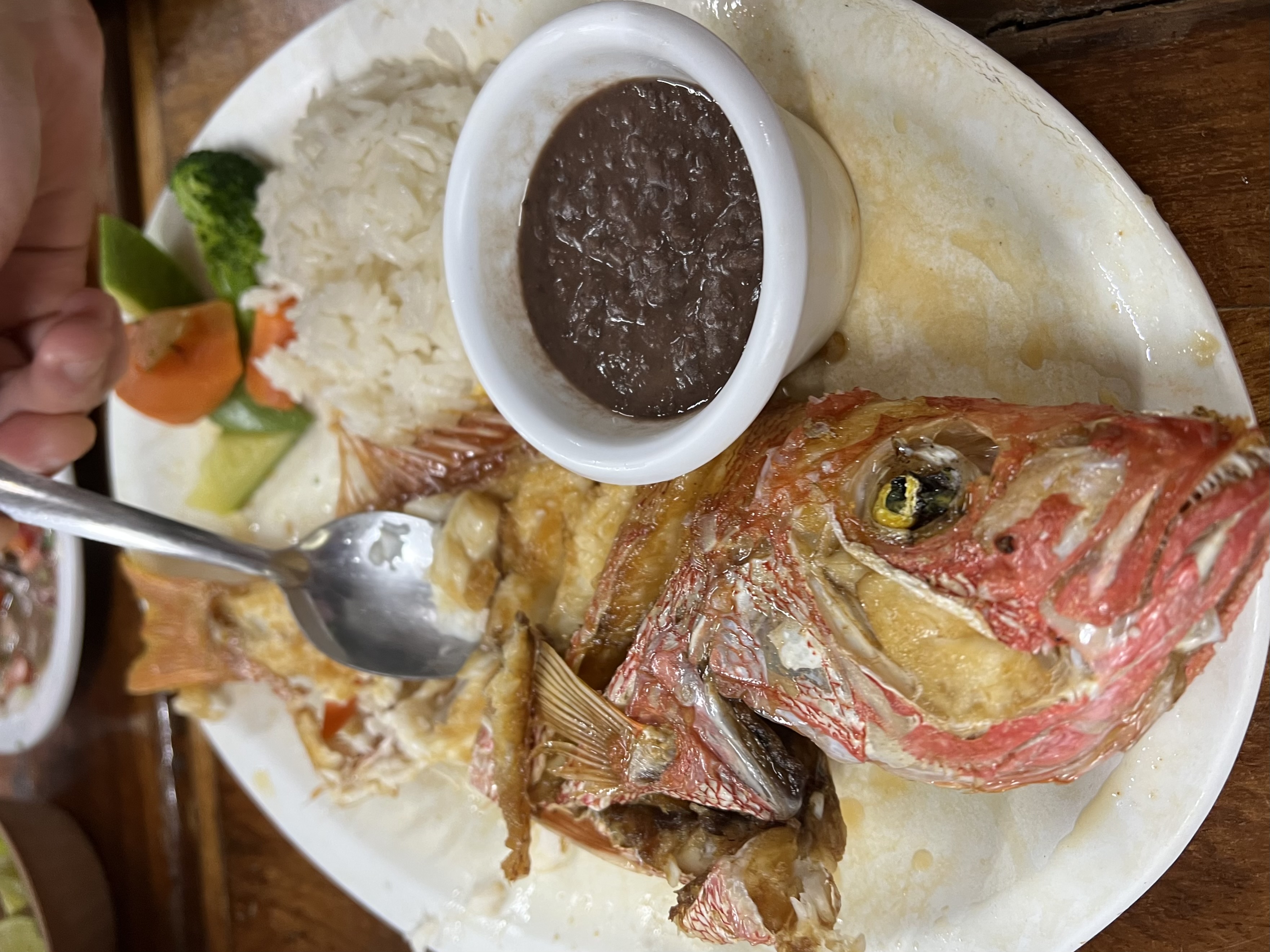 Tour Mexico: Cancun & Tulum, Yucatan Peninsula